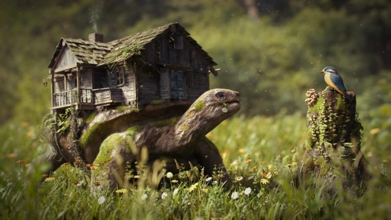 Introduction on how to use OctaneRender in Blender software - VFXRendering